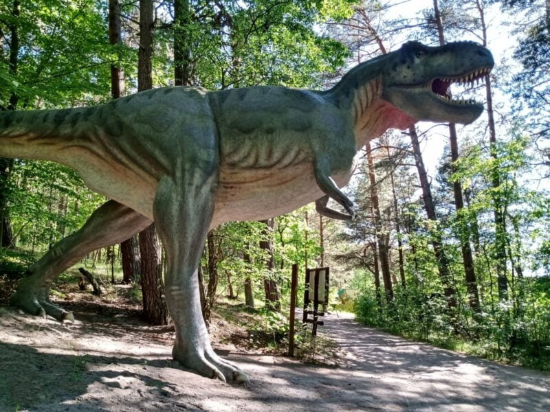 Łeba Park – Park Dinozaurów – Łeba Miasto Żywiołów